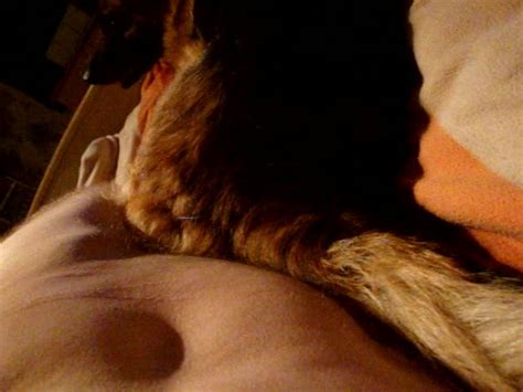 Sexy Animal Enjoying Hardcore Sex With A Fat Zoophile