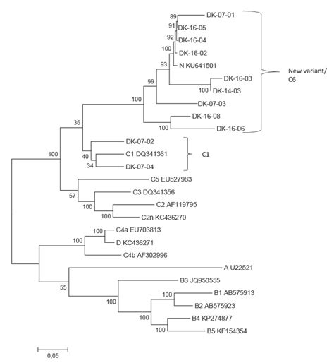 Co Circulation Of Multiple Subtypes Of Enterovirus A71 Ev A71