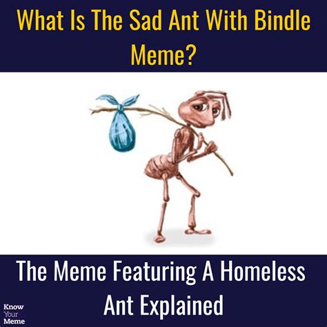 Know Your Meme What Is The Sad Ant With Bindle Meme The