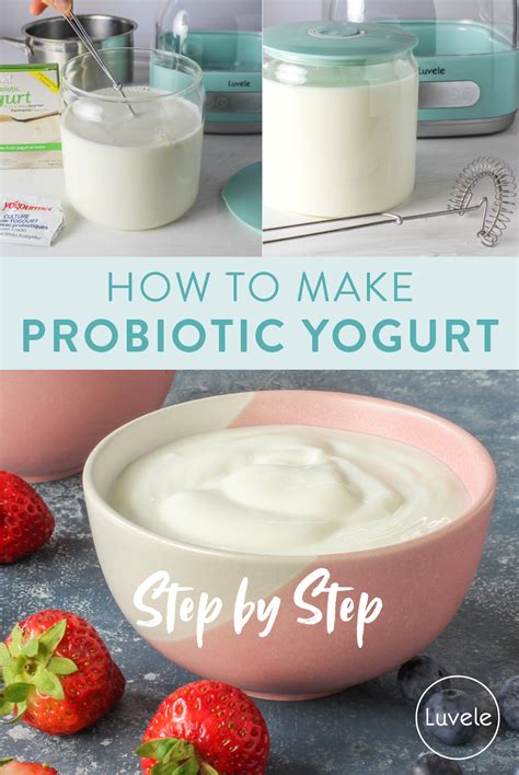 Probiotic Yogurt Recipe