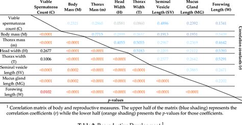 Correlation Matrix Download Table