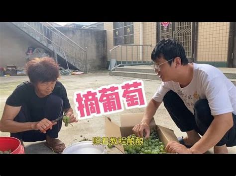 家里葡萄大丰收小珂回家装了一大箱做个夏日清凉饮品 YouTube