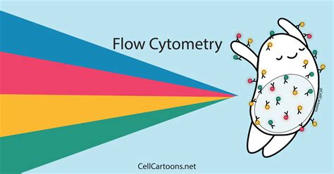 Flow Cytometry Cell Cartoons