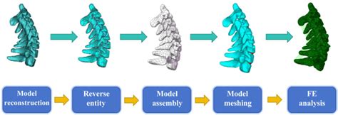 The Finite Element Modeling Procedure Download Scientific Diagram