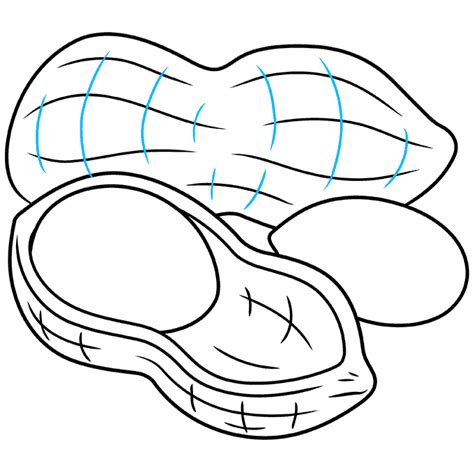 How To Draw A Peanut Really Easy Drawing Tutorial