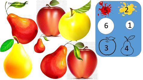 Овощи фрукты презентация онлайн