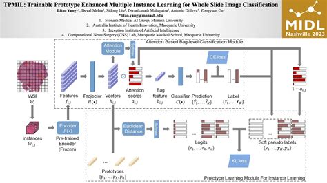 P189 Trainable Prototype Enhanced Multiple Instance Learning For Whole Slide Image
