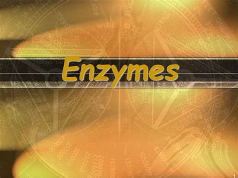 Enzyme Ppt Ppt