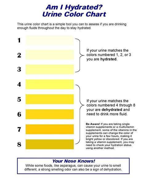 Free 8 Sample Urine Color Chart Templates In Pdf Ms Word Artofit