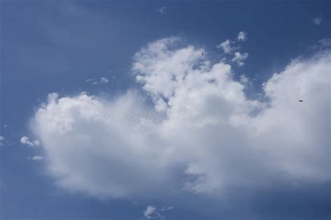 Shaped Clouds In The Sky Stock Image Image Of Ocean 318657241