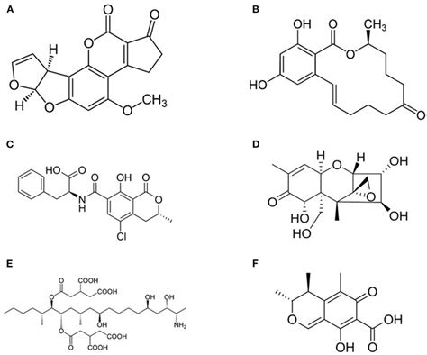 Structure Of Most Common Mycotoxins In Feed A Aflatoxin B1 Download Scientific Diagram