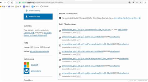 深度学习 环境配置 关于windows上如何使用cuda10 2支持onnxruntime的python版本 cuda10 2 onnx