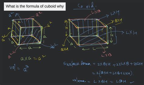 What Is The Formula Of Cuboid Why Filo