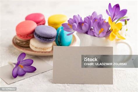 회색 종이 명함 모형 봄 눈 방울 크로커스 꽃과 회색 콘크리트 배경에 여러 가지 빛깔의 마카롱 측면 보기 복사 공간 일어나기에