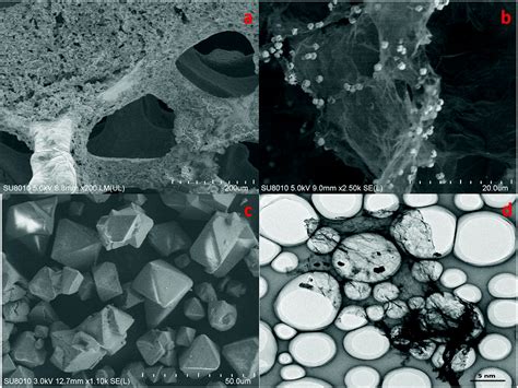 Preparation Of A Cubtc Rgo Catalyst Loaded On A Pt Deposited Cu Foam Cathode To Reduce Co 2 In