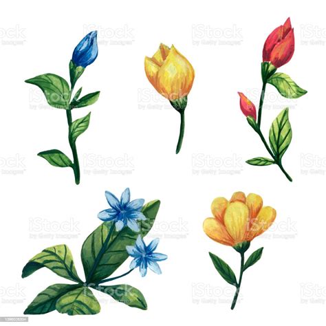 구아슈 꽃 세트 고립 된 식물 삽화 파란색 노란색 및 빨간색 꽃 초대 카드 클립 아트 여름 꽃 수채화 조롱 예술의 귀여운 만화 스타일 고립 된 봄 꽃 0명에 대한 스톡 벡터