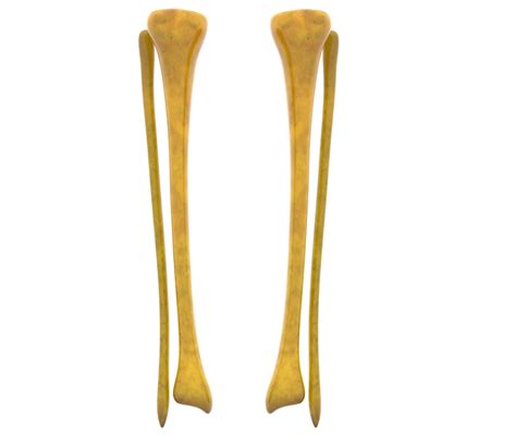 Osso Della Tibia Tíbia O Principal Osso Da Perna Dr Thiago Protta