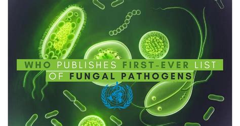 СЗО класира най опасните за хората гъбички