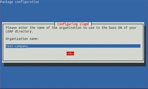 how to install openldap server on debian or ubuntu