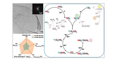 Amorphous Bismuthtin Oxide Nanosheets With Optimized Cn Coupling For
