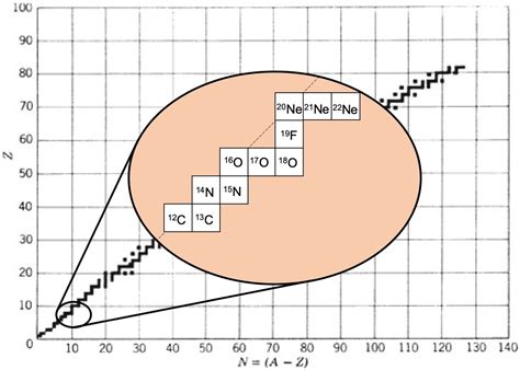 Intermediate Physics For Medicine And Biology Stable Nuclei