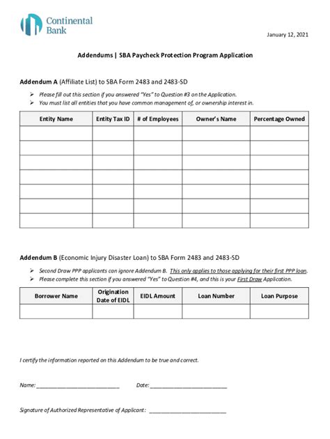 Paycheck Protection Program Application Form Fill Out And Sign Online