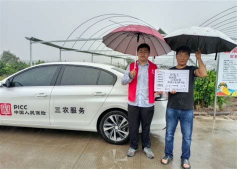 中国人保已累计支付涉及台风梅花保险赔款63万余元 手机新浪网