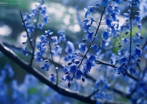 Premium Ai Image Prompts Dont Match If You Want To Unify Them Edit