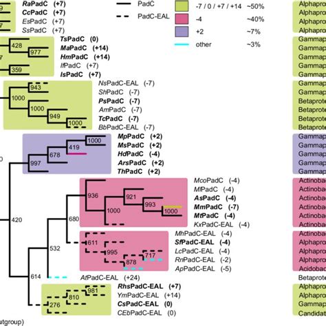 Bootstrap Tree Of Representative Padc Continuous And Padc Eal