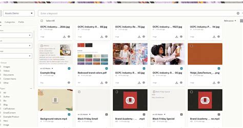 Oracle Content Management Deep Domain Business Solution Technology And Services