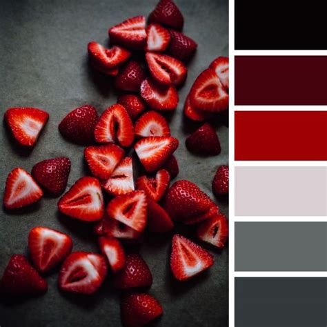 Red And Gray Palette Палитра серых цветов Красная цветовая палитра Красные цветовые схемы
