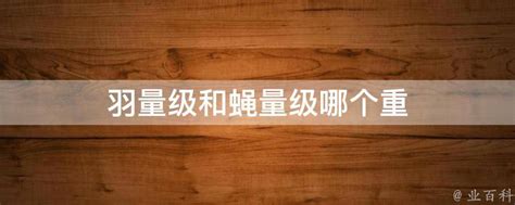 羽量级和蝇量级哪个重 业百科