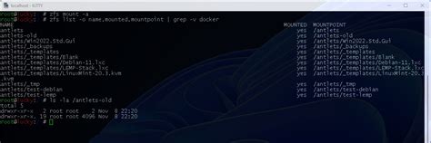 Main Drive Died Trying To Recover Antlets From Zpool Mirror Main