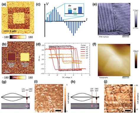 Ferroelectric Domain Imaging After Poling In A Bfo And B Pvdf‐trfe