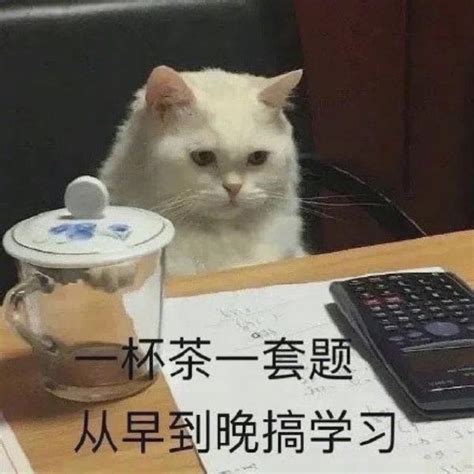 考研搞笑表情包 知乎