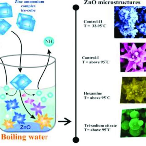 Schematics Representation Of The Ice Cube Mediated Synthesis Of Zno Download Scientific Diagram