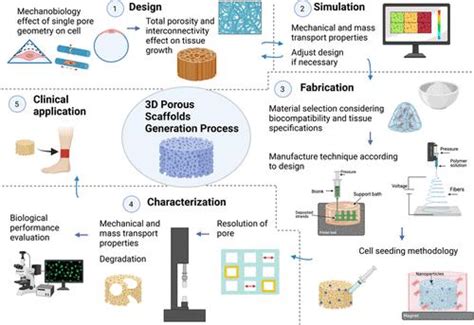 多孔支架生成过程回顾：一种组织工程方法 Acs Applied Bio Materials X Mol