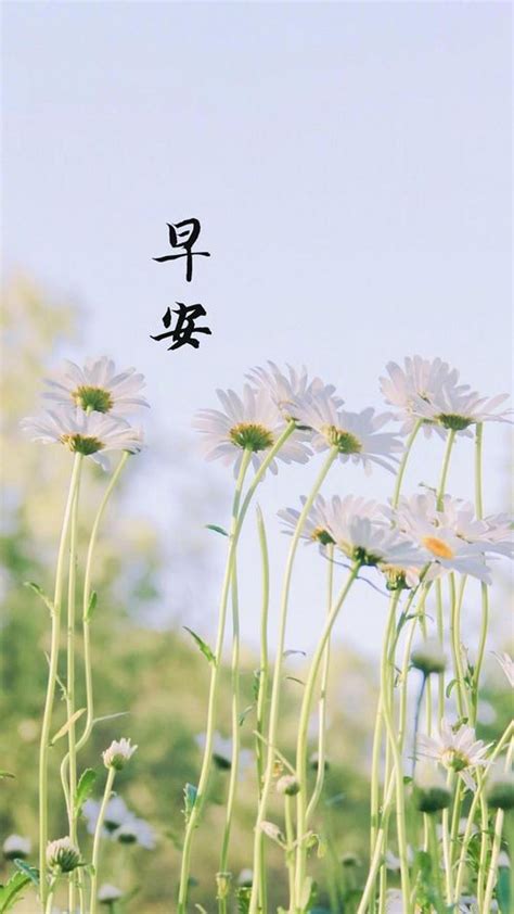 [图]正能量早安唯美简约暖心问候图片 配图网