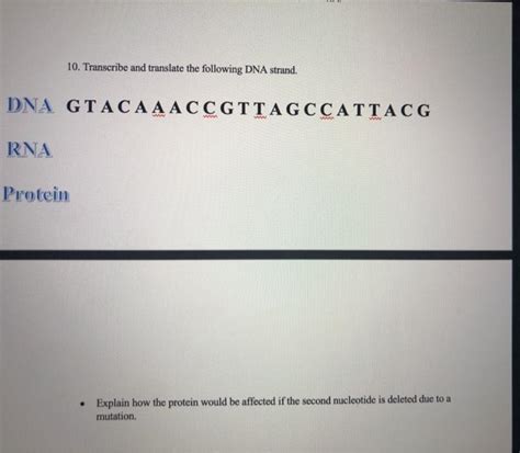 Solved Transcribe And Translate The Following DNA Chegg