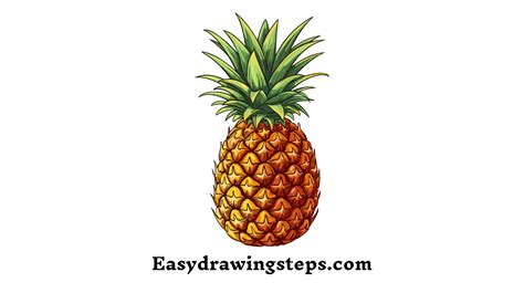 10 Easy Steps To Draw Pineapple Drawing Easy Drawing