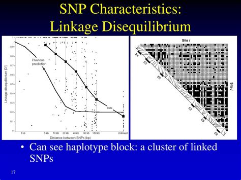 Ppt Single Nucleotide Polymorphism Copy Number Variations And Snp Array Powerpoint