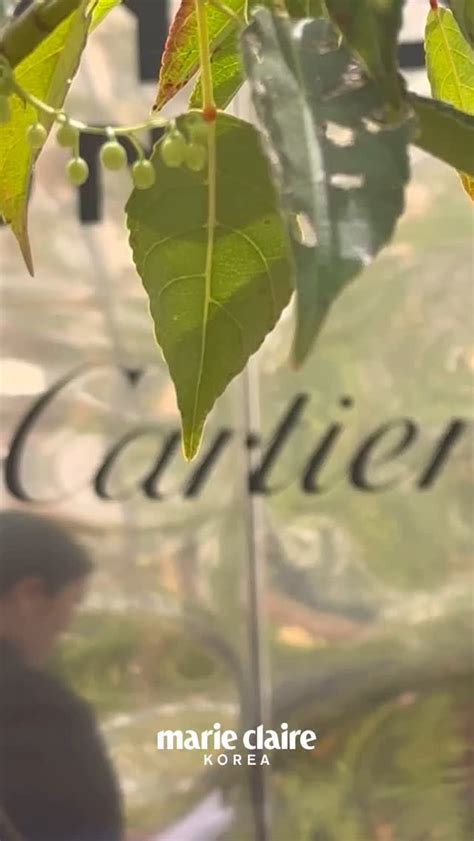 Marie Claire Korea 마리끌레르 광고 올해로 네 번째를 맞이한 샤넬의 제주 시즈널 부티크가 Jw 메리어트