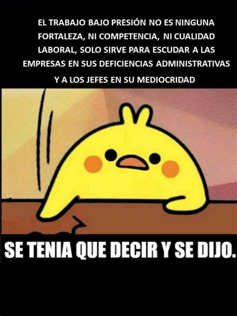 Sofía Salas Monge Posted On Linkedin