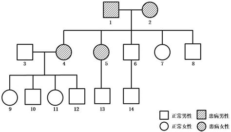 一种评估家族性乳腺癌风险的标记物及其应用的制作方法