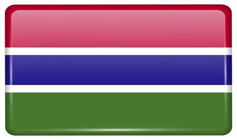 반사 빛으로 냉장고에 자석의 형태로 감비아 플래그입니다 벡터 0명에 대한 스톡 벡터 아트 및 기타 이미지 0명 라벨 배지 Istock