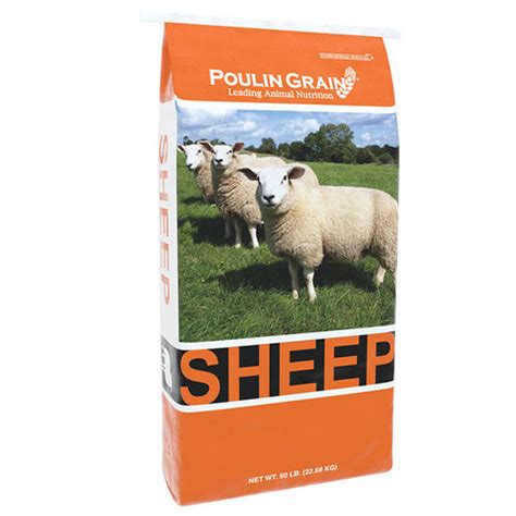 Patches The Sheep Would Love Sheep Pellets 50 Lbs Cooperscrossroad