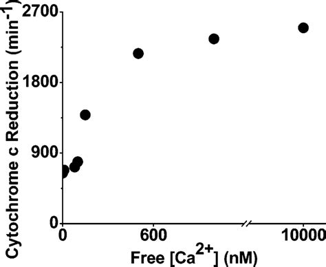 Ca 2 Concentration Dependence For Cam Binding To Dnosr Cytochrome C Download Scientific
