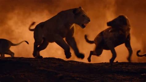 The Lion King 2019 Nala Vs Shenzi Nala Fandub Ready Youtube
