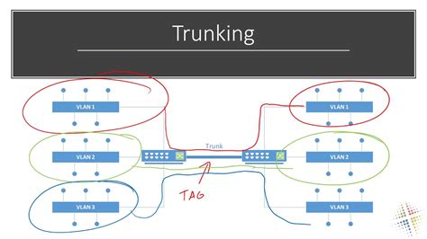 Palo Alto VLAN Trunking And SubInterfaces YouTube