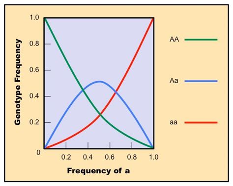 D4 The Hardy Weinberg Principle Bioninja